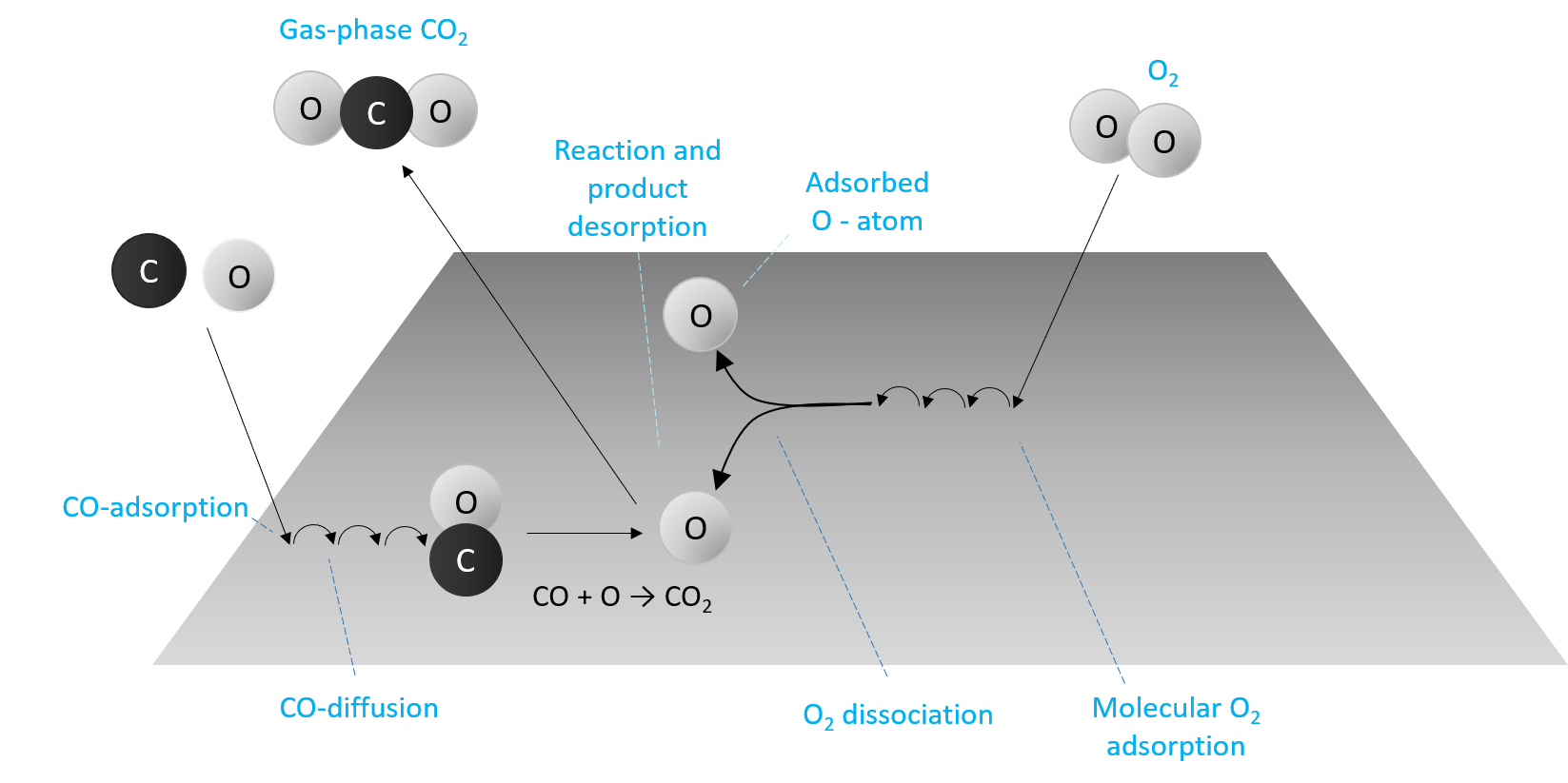 Surface Science - from static to dynamic surface systems